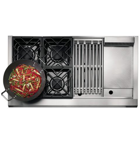 ZDP48N4GHSS — GE Monogram® 48" Dual-Fuel Professional Range with 4 ...